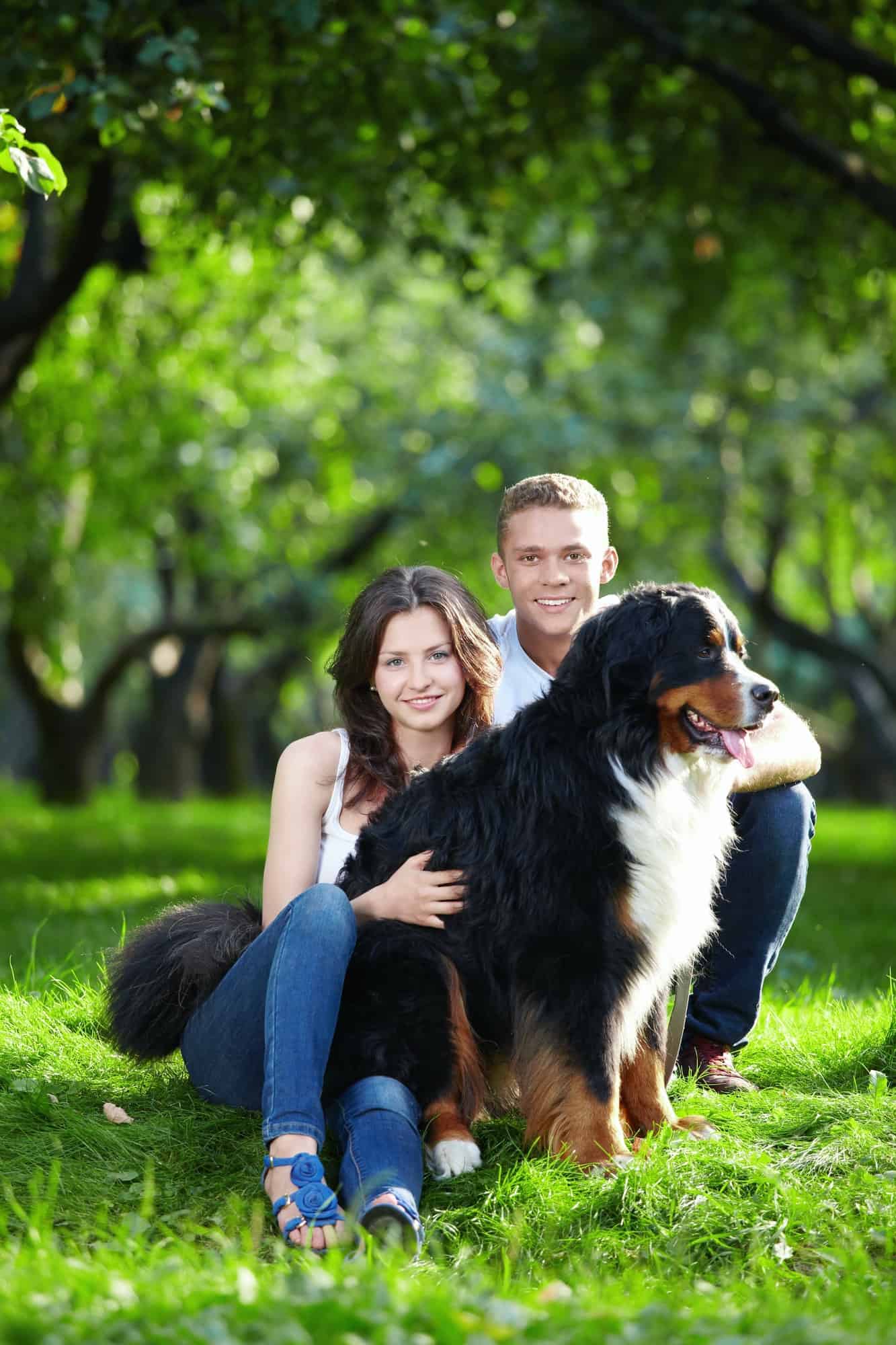 The Evolution of Prom Suits: From Traditional to Trendsetting - Jimmy ...